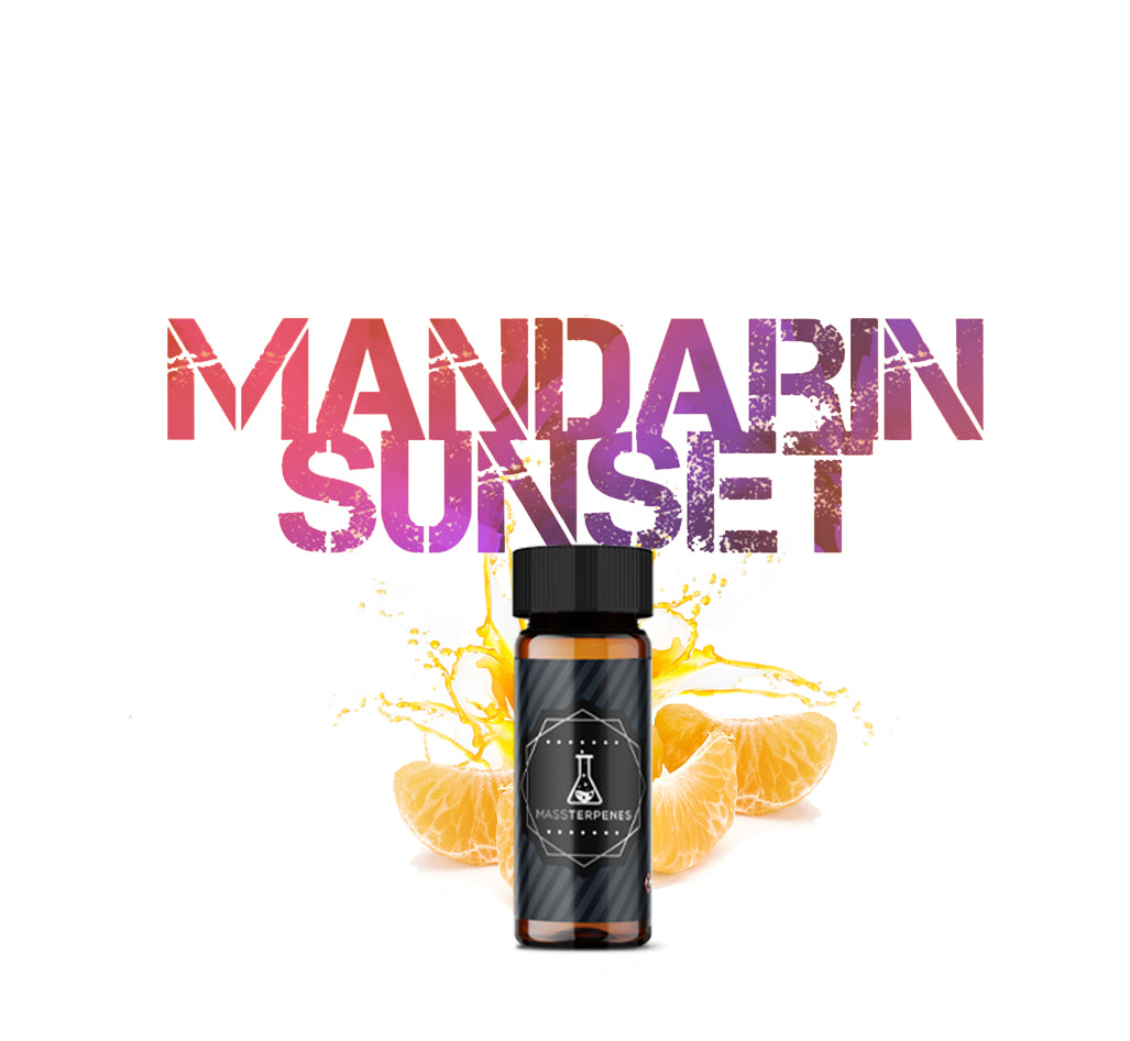 Mandarin Sunset Strain Profile | Mandarin Sunset Terpenes