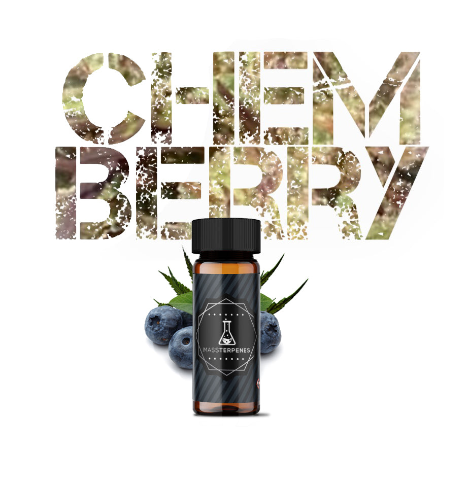 Chem Berry Strain | Chemdawg Terpenes
